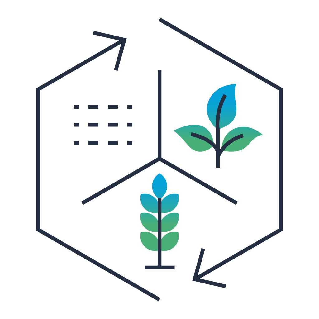 Sustainability practices – Alberami